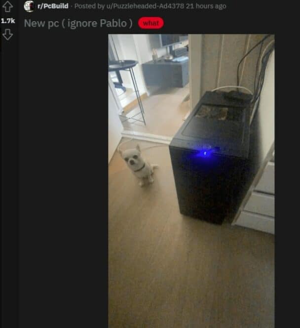 40 Funniest Reddit Posts From The Depths Of The Internet This Week ...