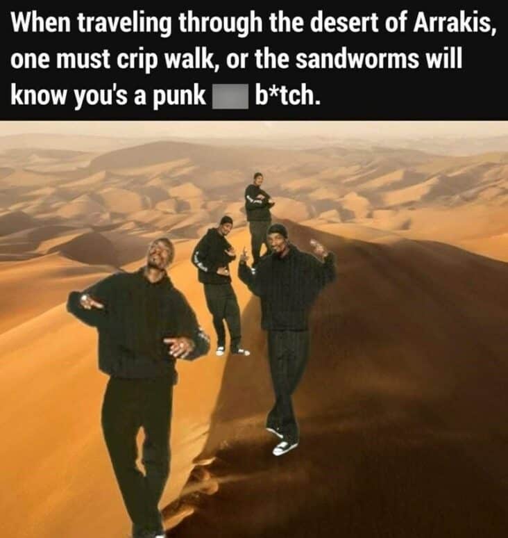 45 Dune Memes Funnier Than Riding A Sandworm Backwards Through Arrakis