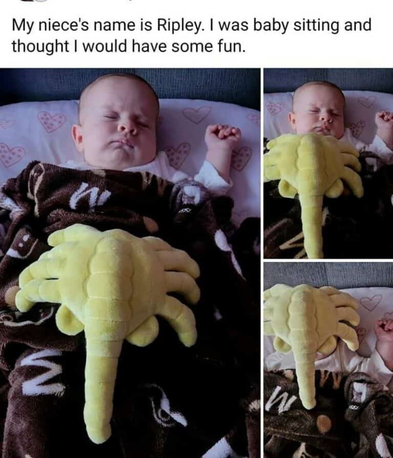 50 Xenomorph Memes For Fans Of Alien Movies Both Before And After Ripley