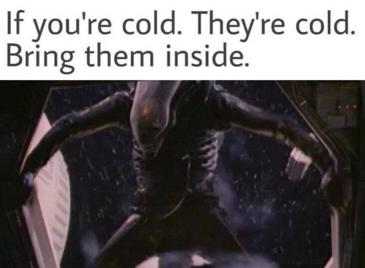 50 Xenomorph Memes For Fans Of Alien Movies Both Before And After Ripley
