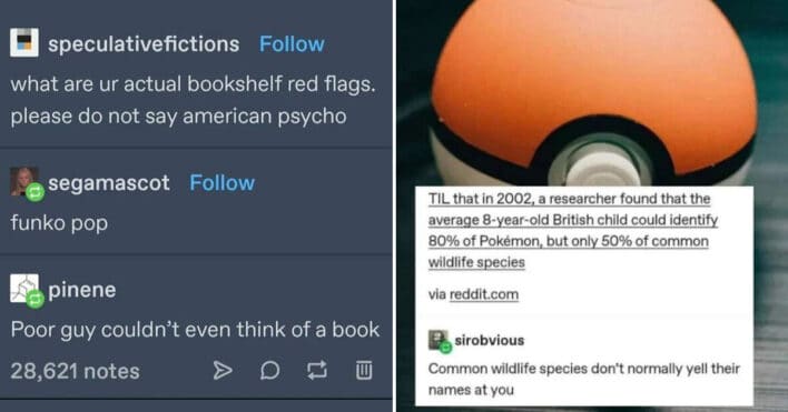 40 Best Tumblr Posts That Are Pure Internet Gold (July 23, 2024)