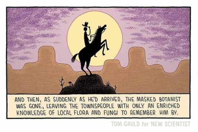 35 Clever Comics For Math, Science, And Literature Fans From Artist Tom ...