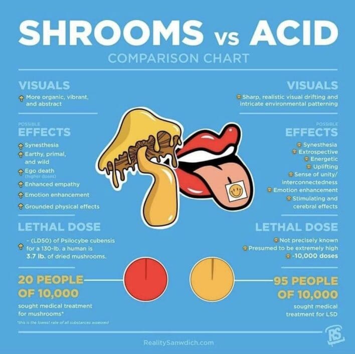 35 Cool Guides That'll Teach You A Lot Of Info Even Faster Than A Podcast