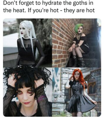 37 Goth Memes For Dark Spirits Waiting For Their Black Parade
