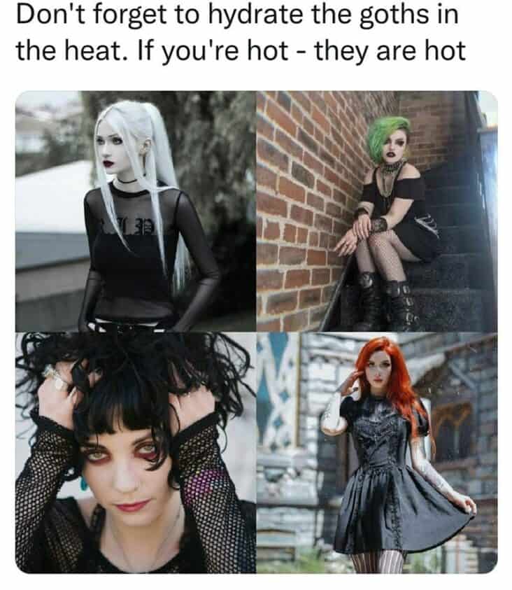 37 Goth Memes For Dark Spirits Waiting For Their Black Parade