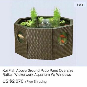 45 Totally Weird eBay Listings That Will Leave You Both Curious And ...