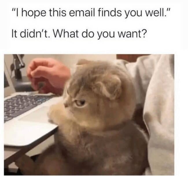 35 Funny Annoying Email Memes That Found Us How They All Find Us — Not Well