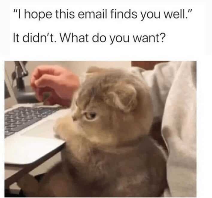 35 Funny Annoying Email Memes That Found Us How They All Find Us — Not Well