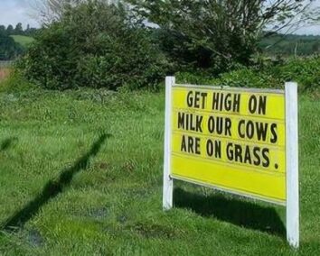 50 Chaotically Funny Signs That Are Perfectly Ridiculous