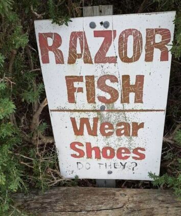 50 Chaotically Funny Signs That Are Perfectly Ridiculous