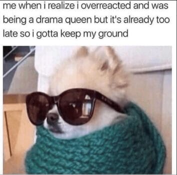 30 Hilarious Memes For Drama Queens Who Just Can't Deal (July 16, 2024)
