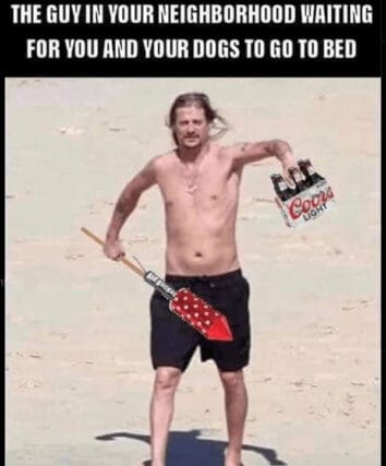 30+ Funny Fireworks Memes To Ignite Some Laughter (July 4, 2024)