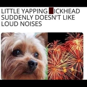 30+ Funny Fireworks Memes To Ignite Some Laughter (July 4, 2024)