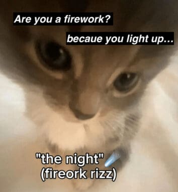 30+ Funny Fireworks Memes To Ignite Some Laughter (July 4, 2024)