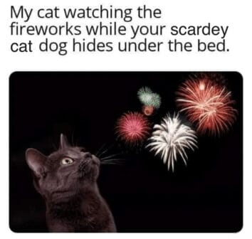 30+ Funny Fireworks Memes To Ignite Some Laughter (July 4, 2024)