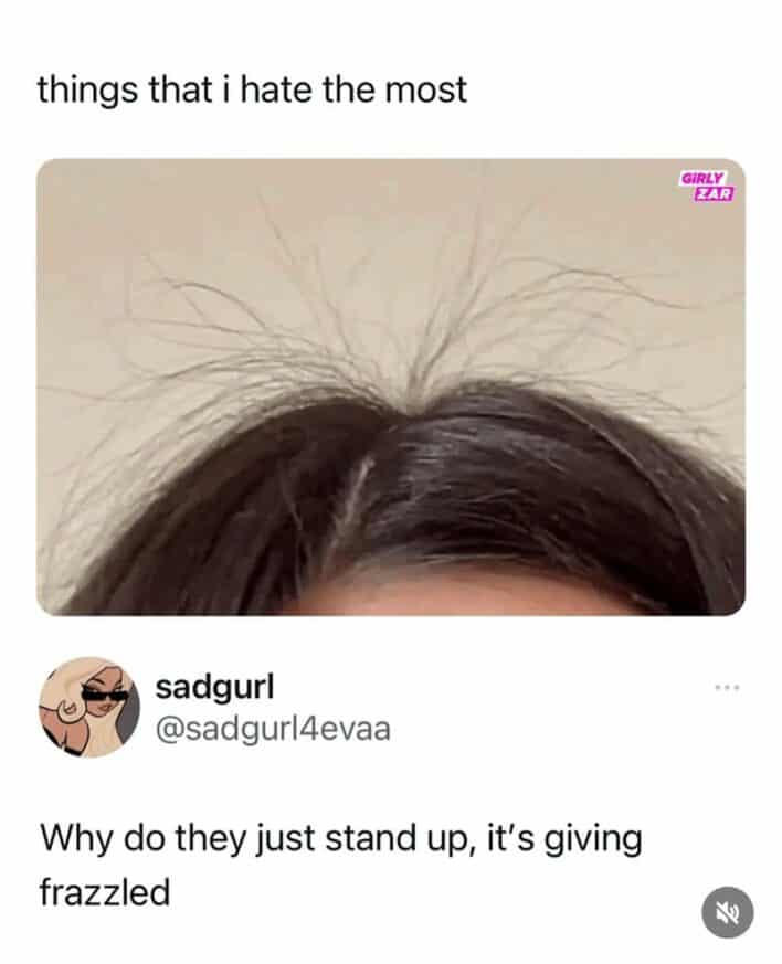 30 Funny Hair Care Memes For Women Whose Hair Has A Mind Of Its Own