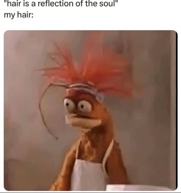 30 Funny Hair Care Memes For Women Whose Hair Has A Mind Of Its Own