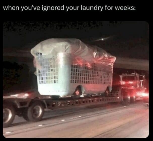 40+ Funny Memes For Ladies Who Are A Hot Mess And Own Their Chaos