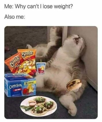 40+ Funny Memes For Ladies Who Are A Hot Mess And Own Their Chaos