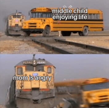 30 Hilariously Relatable Memes Every Middle Child Will Appreciate (July ...