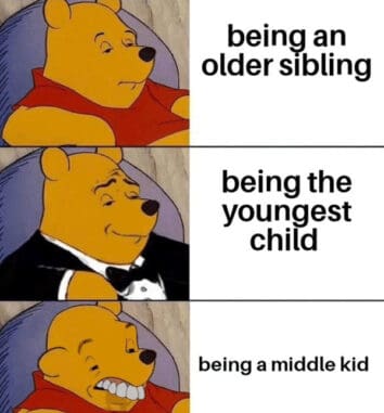 30 Hilariously Relatable Memes Every Middle Child Will Appreciate (July ...
