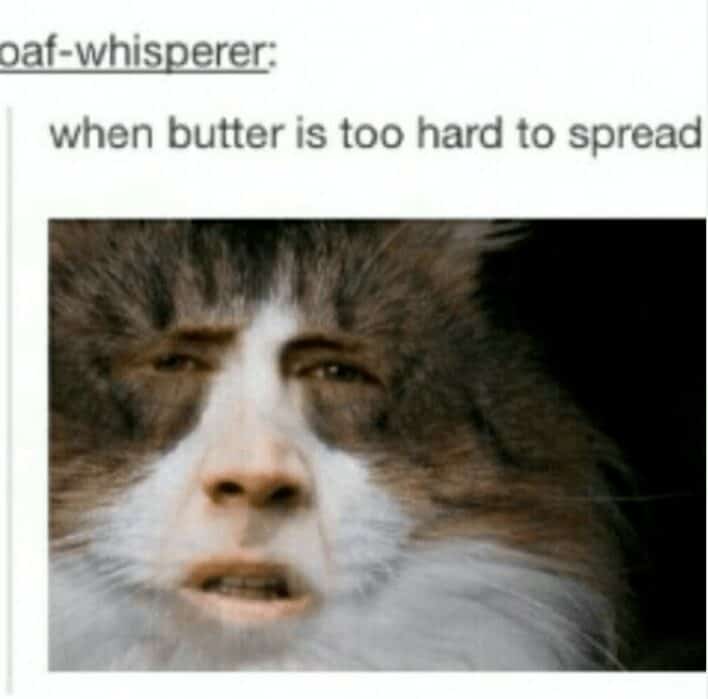 30 Wild Nicolas Cage Memes Celebrating The Iconic "Long Legs" Actor