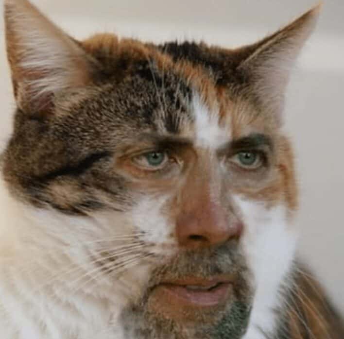 30 Wild Nicolas Cage Memes Celebrating The Iconic "Long Legs" Actor