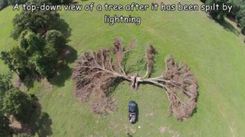 50 Funny And/Or Random Pictures For Your Daily Dose Of Randomness (July ...