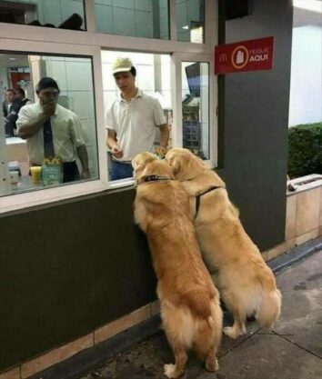 50 Funny And/Or Random Pictures For Your Daily Dose Of Randomness (July ...