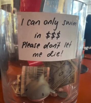 37 Clever Tip Jars That'll Win Over Customers' Charity With Humor