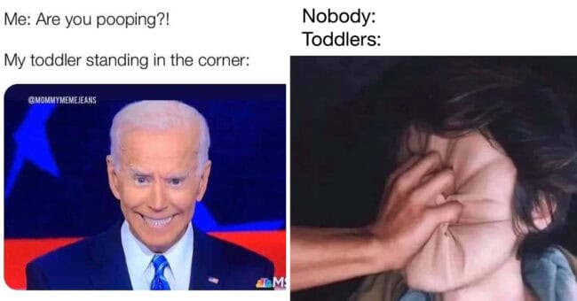 45 Funny Toddler Memes For Parents Barely Surviving The Terrible Twos