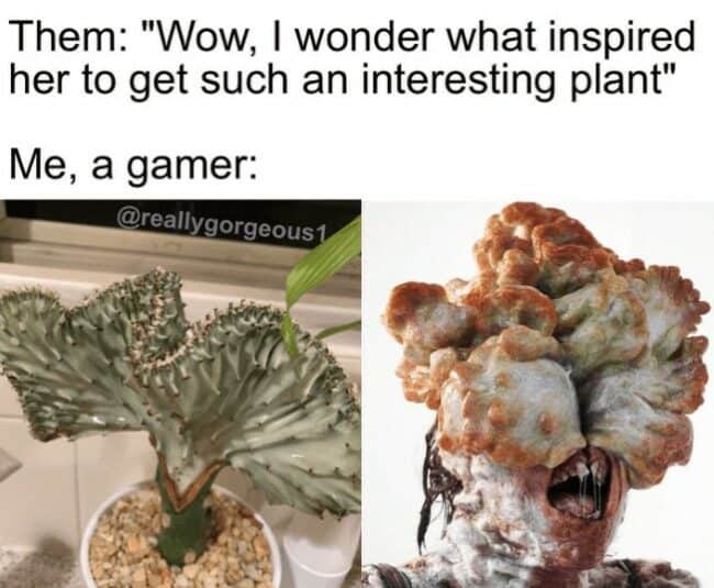 36 Zombie Apocalypse Memes For Survivors Who Know To Go For The Head