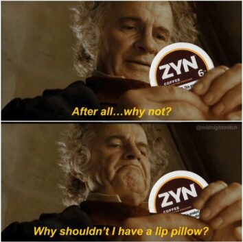 35 Funny Zyn Memes That Will Have You Buzzin' With Laughter