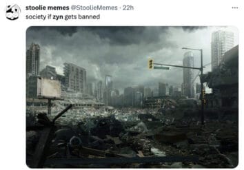 35 Funny Zyn Memes That Will Have You Buzzin' With Laughter