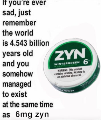 35 Funny Zyn Memes That Will Have You Buzzin' With Laughter