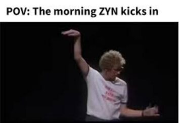 35 Funny Zyn Memes That Will Have You Buzzin' With Laughter