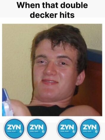 35 Funny Zyn Memes That Will Have You Buzzin' With Laughter