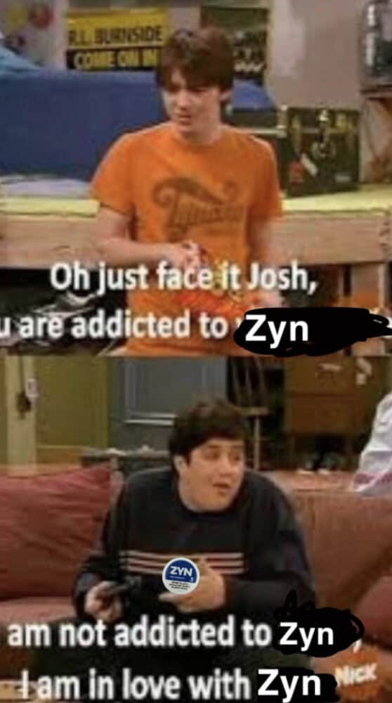 35 Funny Zyn Memes That Will Have You Buzzin' With Laughter