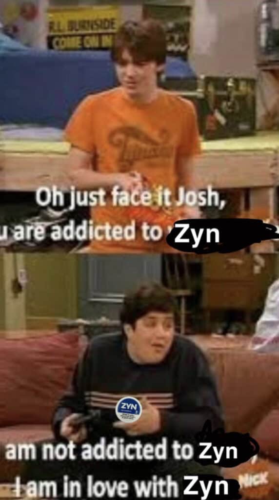 35 Funny Zyn Memes That Will Have You Buzzin' With Laughter