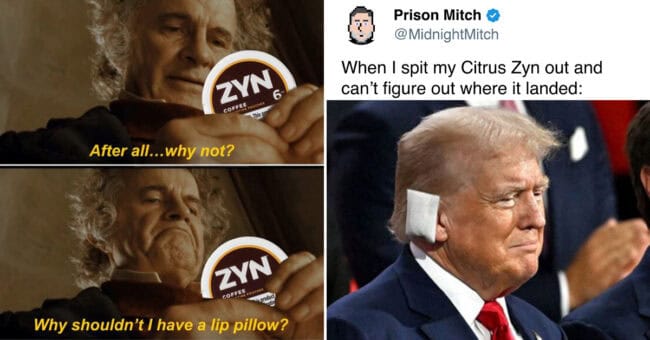 35 Funny Zyn Memes That Will Have You Buzzin' With Laughter