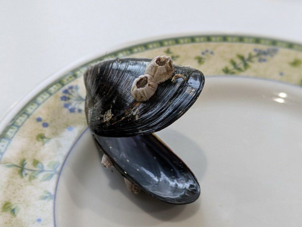 48 Funny Pictures For Your Morning Dose Of Humor (July 24, 2024)