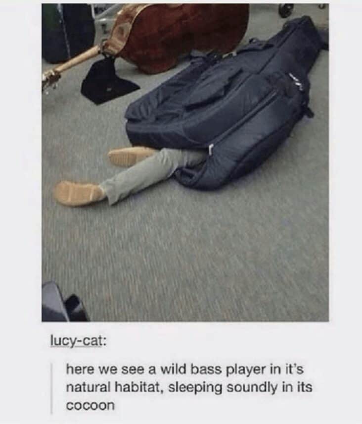 40 Jazz Memes For Musicians Who Know How To Go With The Flow