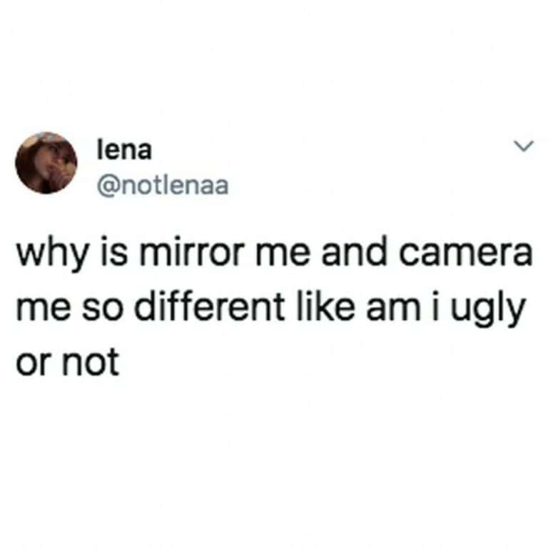 20+ Funny Memes For Non-Photogenic Ladies Still Searching For Their ...