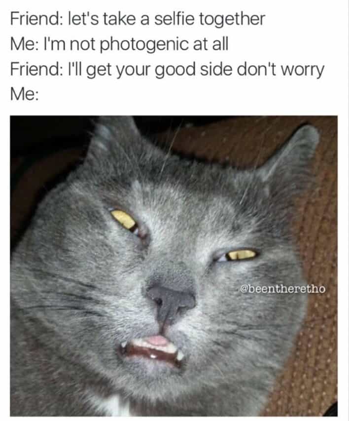 20+ Funny Memes For Non-Photogenic Ladies Still Searching For Their ...