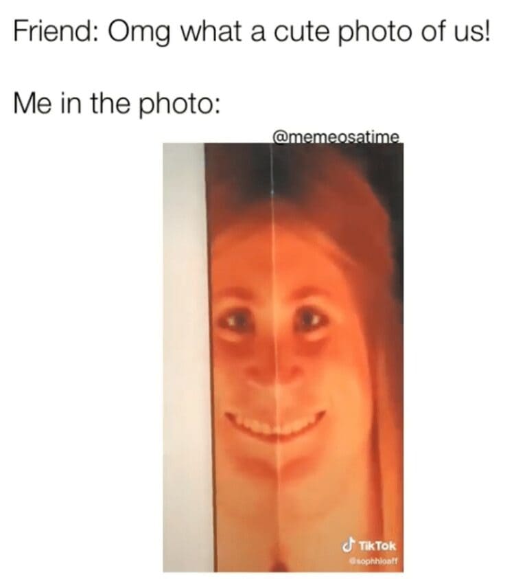 20+ Funny Memes For Non-Photogenic Ladies Still Searching For Their ...