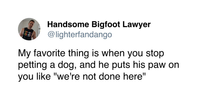 50 Funniest And Most Viral Tweets From This Month (July 2024)