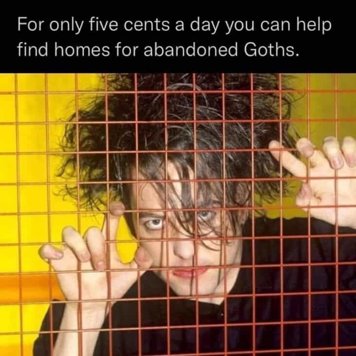 37 Goth Memes For Dark Spirits Waiting For Their Black Parade