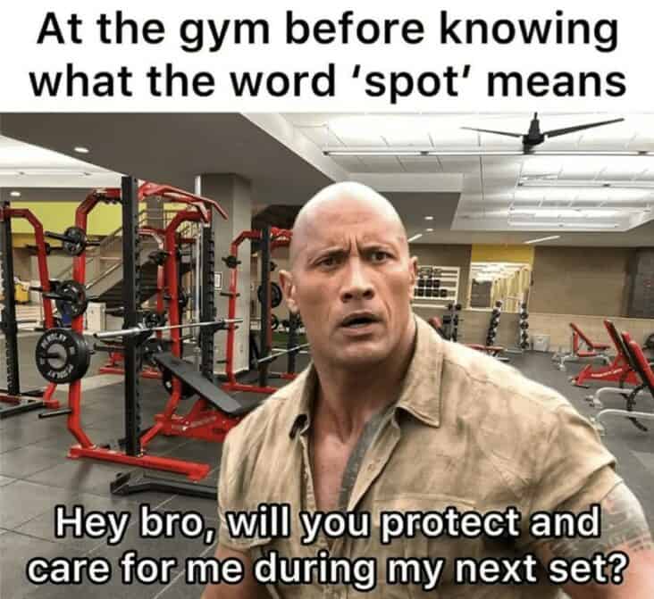 45 Funny Workout Memes For Fitness Freaks And Gym Rats (July 11, 2024)
