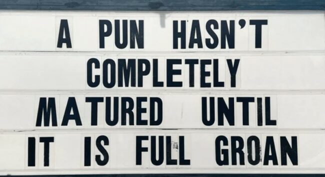 40 Funny Pun Memes Your Dad Will Think Are Pun-derful