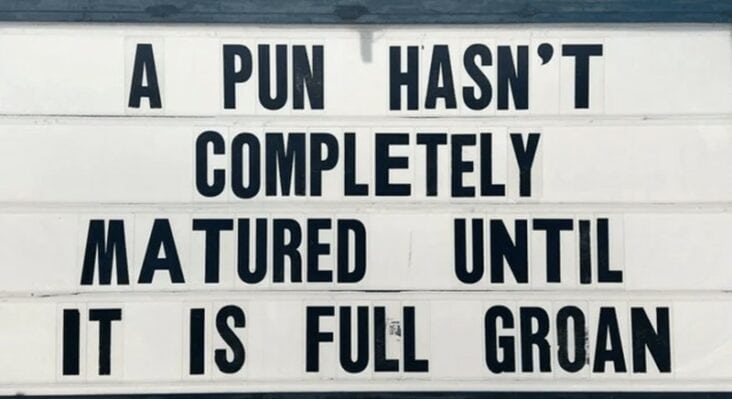 40 Funny Pun Memes Your Dad Will Think Are Pun-derful